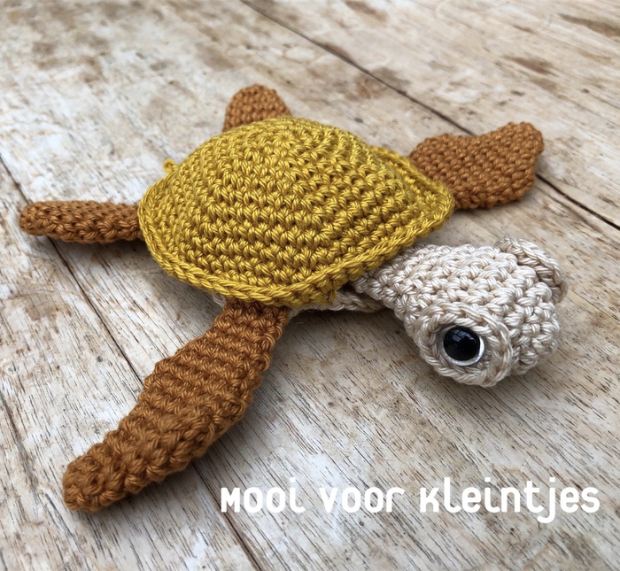 Het ontstaan van Tully turtle :: Mooi voor Kleintjes